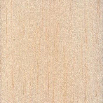 Balsa Wood, Apa Itu Kayu Balsa – SIBALSA